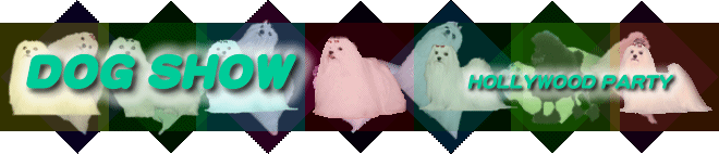 DOG SHOW HOLLYWOOD PARTY マルチーズ